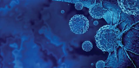 Shortened Cardio Metabolic Mouse Model Of Hfpef Wuxi Biology