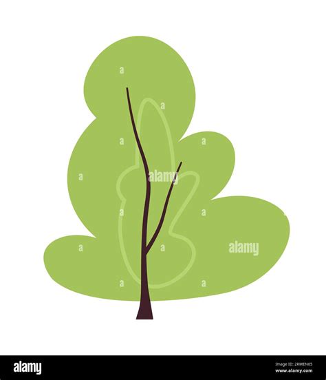 Evergreen Park Tree Semi Flat Colour Vector Object Stock Vector Image Art Alamy