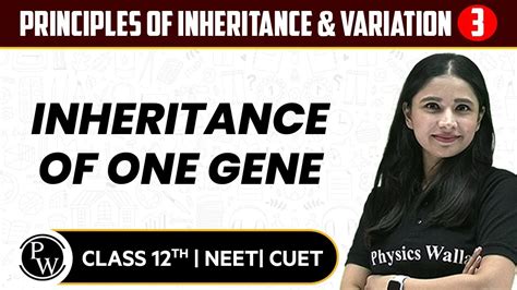 Principles Of Inheritance And Variation 03 Inheritance Of One Gene Pure English 12th Neet