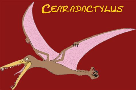 Ddr Cearadactylus By Larussopelta On Deviantart