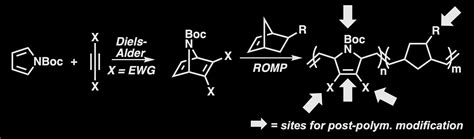New Monomers For Ring Opening Metathesis Polymerization Romp