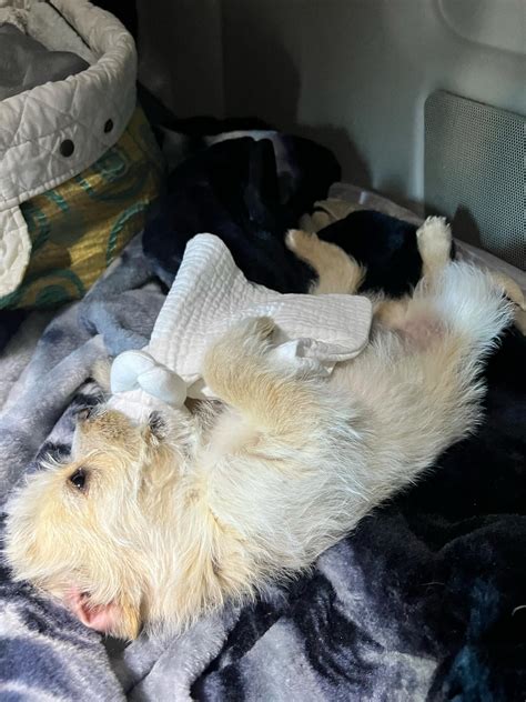 Debra C Jadick Debra C Jadick Added A New Photo