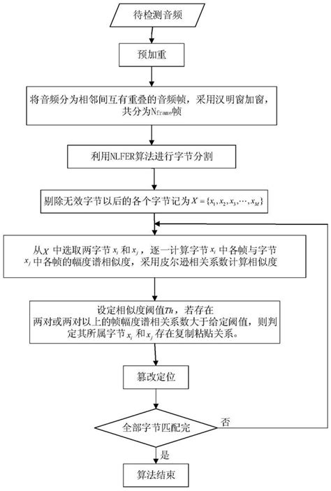 a homologous audio tampering detection method using magnitude spectrum