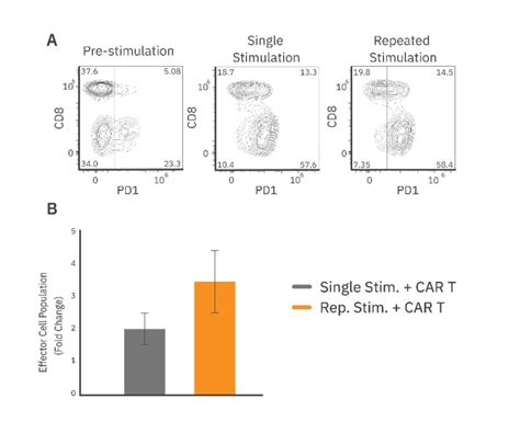 Development Of A Repeated Challenge Assay To Evaluate Immune Cell