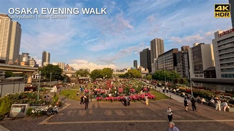 Osaka Evening Walk Sankyubashi Suji To Nakanoshima Rose Garden 4k
