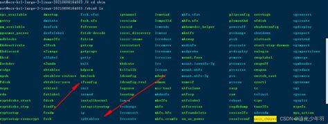linux各目录及每个目录的详细介绍 usr local lib在哪 csdn博客