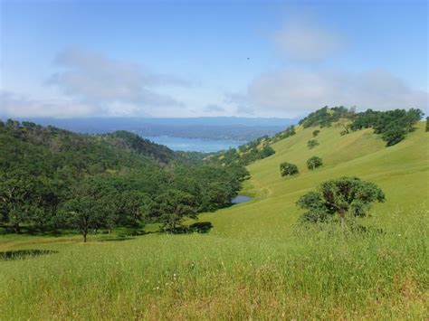 Running Deer Ranch Ca Land Trust Ca Rangeland Trust