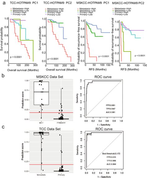 Kaplan Meier Survival Analysis Based On Categorized Gene Expression Download Scientific Diagram