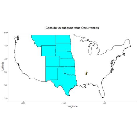 Cretaceous Atlas Of Ancient Life Cassidulus Subquadratus