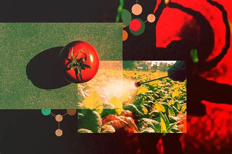 Epa Proposes Relaxed Limits On Acephate A Toxic Pesticide — Propublica