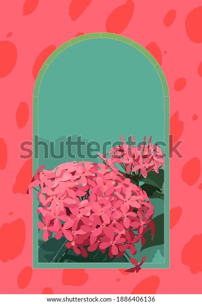 Pink Ixora Dwarf Over 1 Royalty Free Licensable Stock Illustrations