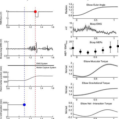 Alignment Of Emg And Motion Capture A Representative Signals That