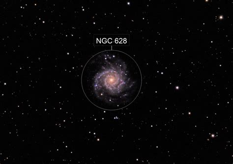M74 In Pisces Astrogeoguy2590 Astrobin