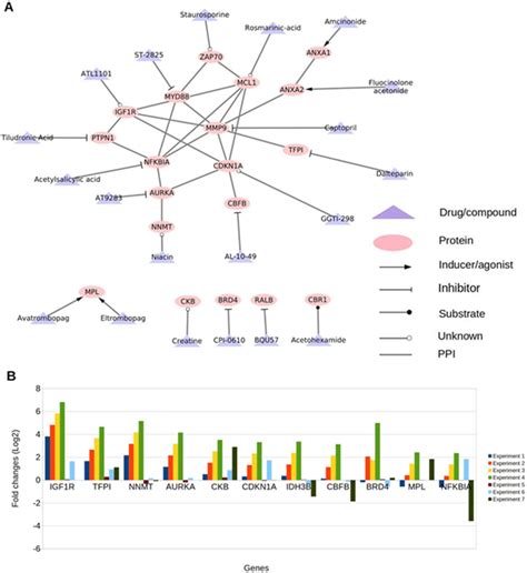 Drug Target Network Of Potential Targets And Gene Expression A Download Scientific Diagram