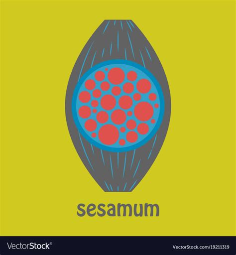 Free Flat Of The Normal Sesamoid Bone External And Vector Image Nohatcc