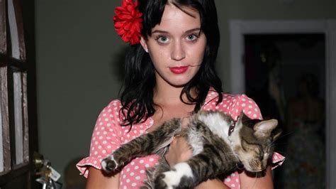 The Domestic Cat Population Of Britain Is Enjoying A Significant Boom