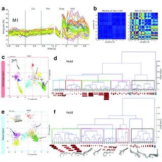 Motor Execution In M1 A Example Neuron Of M1 In Monkey M Curves Download Scientific Diagram