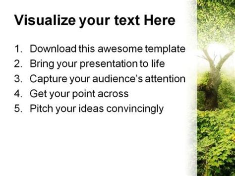 Sunlight In Forest Nature PowerPoint Template