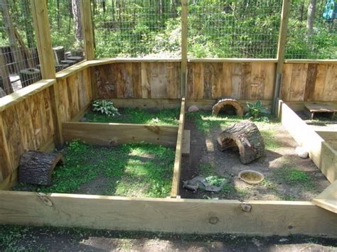 Outdoor Enclosures For Tortoises