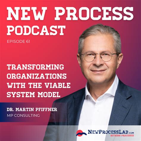 Transforming Organizations With The Viable System Model — With Martin