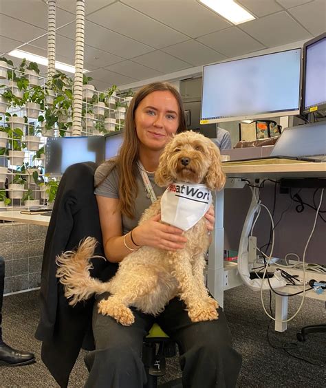 Francois Le Berrigaud Posted On Linkedin