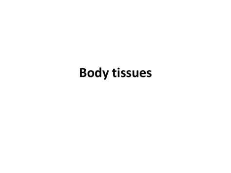 Introduction To Epithelial Tissue Exercises Anatomy Docsity