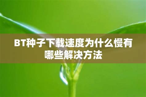 Bt种子为什么慢有哪些解决方法 电脑系统问题 东森it信息网