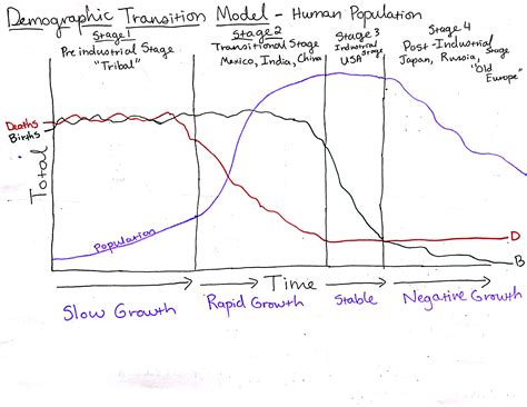 Unit 6 Human Population Dynamics Kalaheo Apes