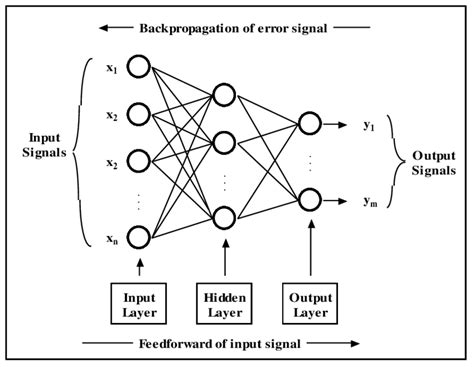 3 Structure Of A Multi Layer Network And Signal Propagation Through The Download Scientific