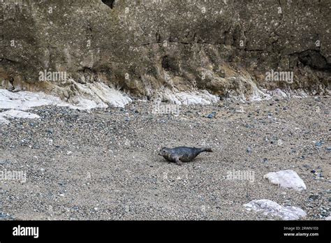 Angel Bay Llandudno Hi Res Stock Photography And Images Alamy