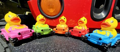 New Colors Assorted 5 Piece Set Rubber Ducks In 4x4s Duck A Jeep