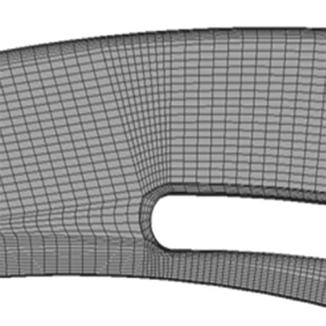 Computational Domain Of The Pat Model Download Scientific Diagram