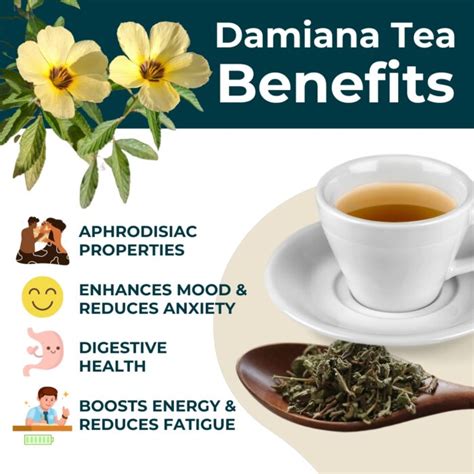 Damiana Tea Loose Leaf Herbal Tea Teapro