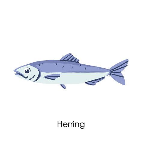 Herring Edible Salt Water Fish Element 39323446 Vector Art At Vecteezy