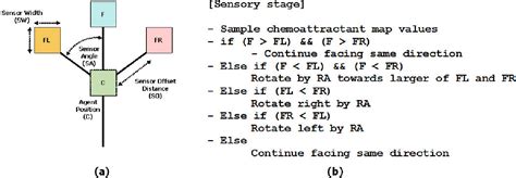 Figure 1 From Slime Mould Inspired Generalised Voronoi Diagrams With