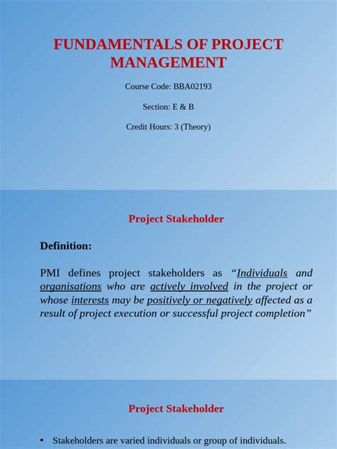5 Project Initiation Phase Stakeholder And Team Identification
