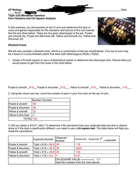 ap bio 5 02 lab chi square practice problems ap biology name