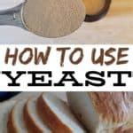 Baking With Yeast EVERYTHING You Need To Know