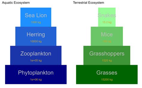 Biomass Pyramids And Funnel Plots In R With Ggplot2 Az Andis Arietta