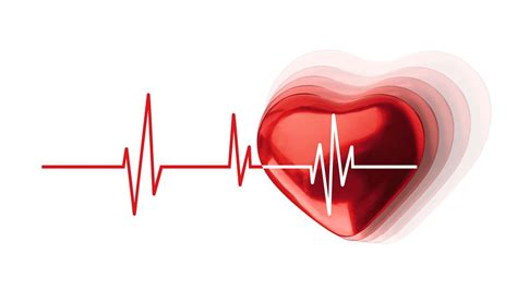 Nizak Puls I Usporen Rad Srca Simptomi I Lečenje Ženars