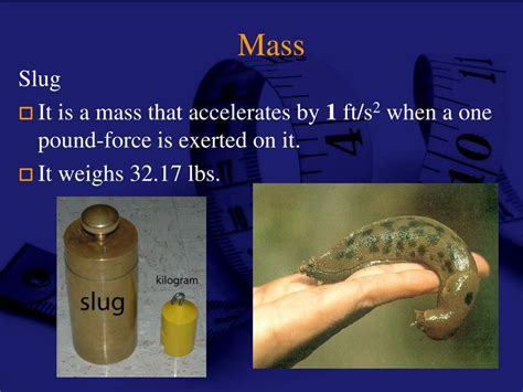 Ppt Bell Ringer 91613 3 Minutes Powerpoint Presentation Free
