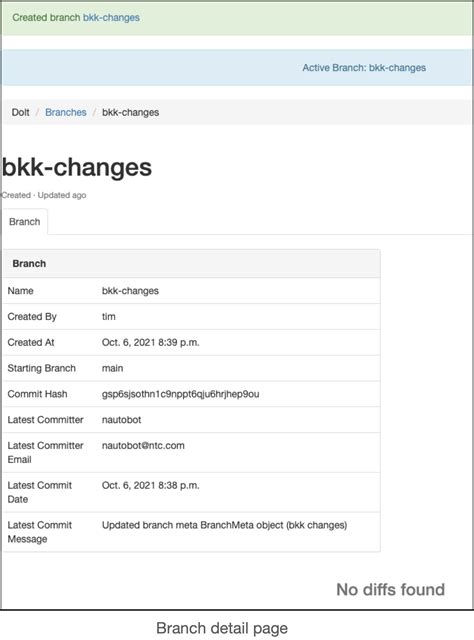 Using The App Nautobot Version Control Documentation