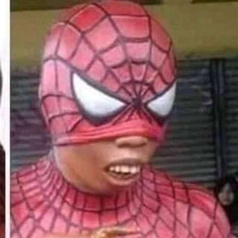 Spider Py Into The Code Verse Vinzons