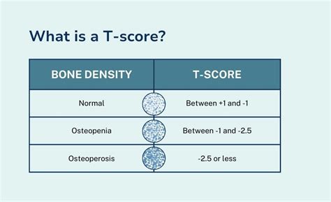 What The Results Of Your Bone Density Test Mean Raleigh Medical Group