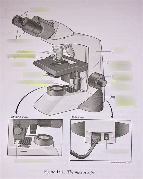 BIO Lab Practical Parts Of A Microscope Of Diagram Quizlet