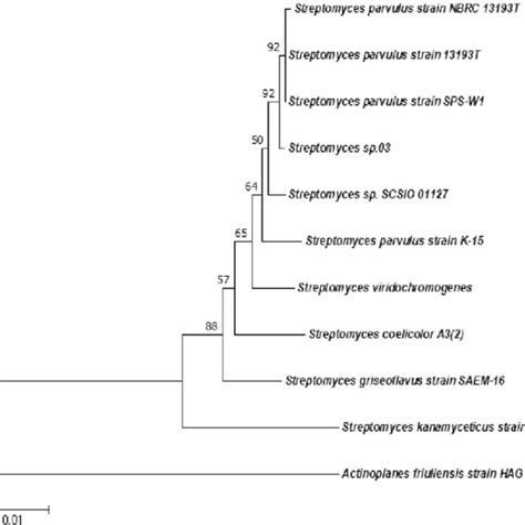 High Resolution Lc Ms Analysis Of Ethyl Acetate Ea Extract Of Melanin
