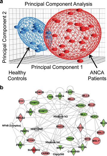 Bioinformatic Analysis Of Microarray Gene Expression Data Comparing Download Scientific Diagram