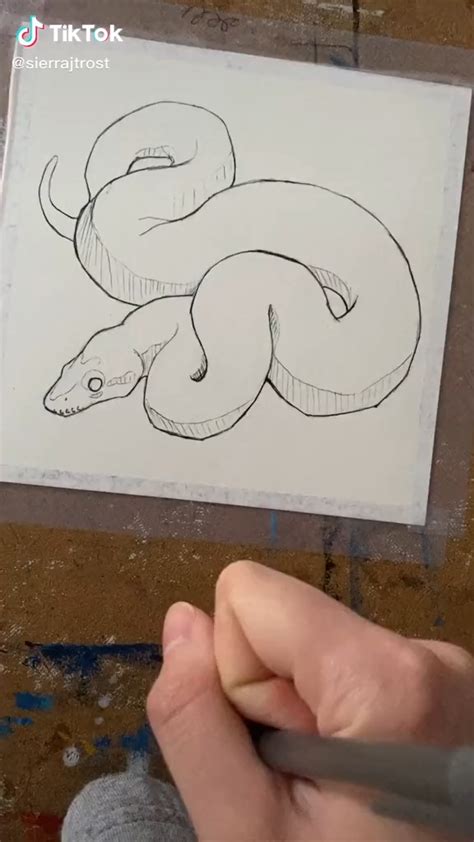 How To Draw A Ball Python Step By Step Drawing Tutorials Artofit