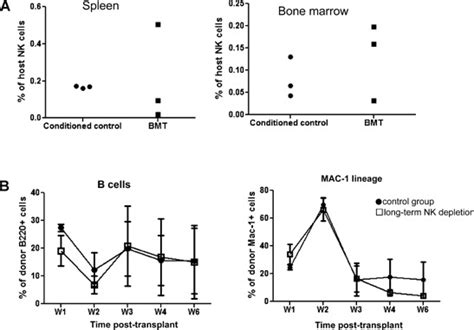 Recipient Nk Cells Do Not Play A Role In Rejecting Mhc Class Download Scientific Diagram