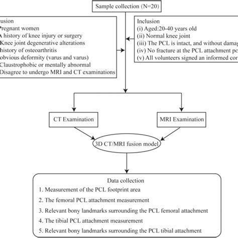 A The Diagram Of 3d Ct‐mri Fusion Model The Tibia Femur Pcl